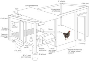 How to Build and Prepare a Poultry House